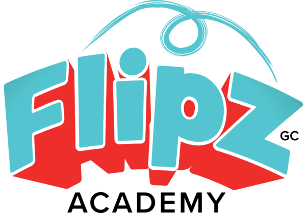 Private lesson with Denis Frolov – Gymnastics – Flipz Academy